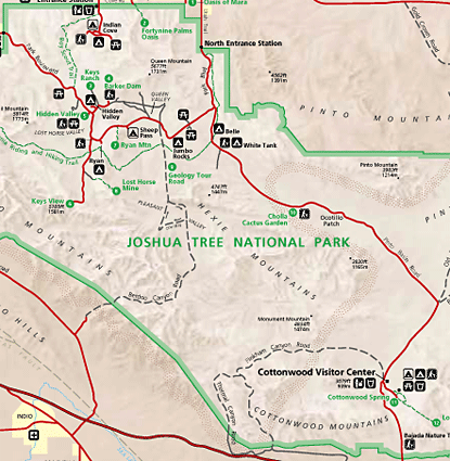 Joshua Tree National Park – Up to the Sky